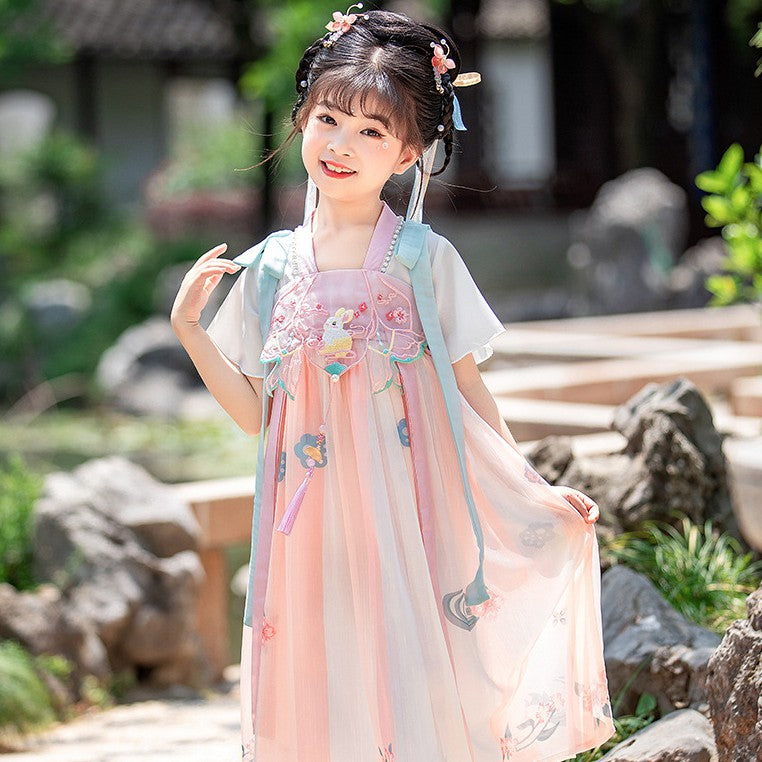 Rabbit & Floral Embroidery Girl's Han Chinese Costume Princess Dress ...