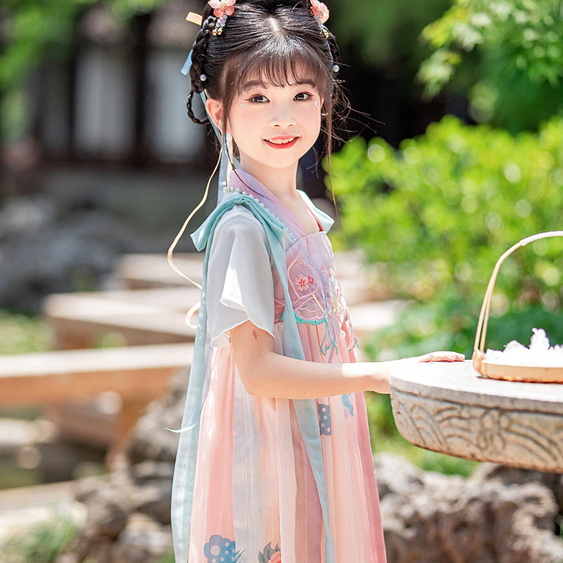 Rabbit & Floral Embroidery Girl's Han Chinese Costume Princess Dress ...