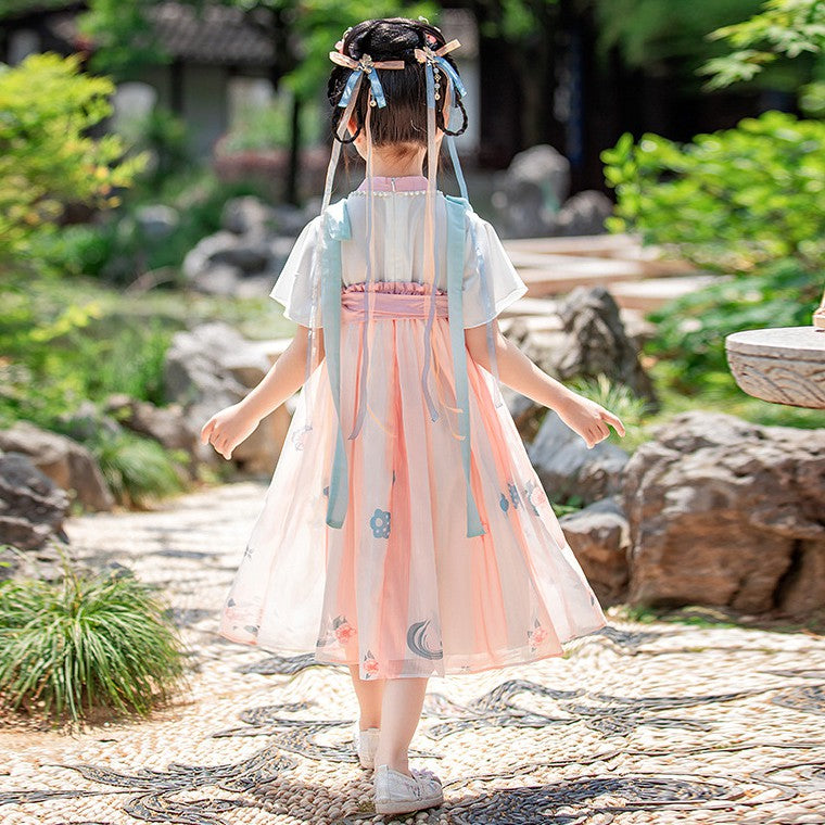 Rabbit & Floral Embroidery Girl's Han Chinese Costume Princess Dress ...